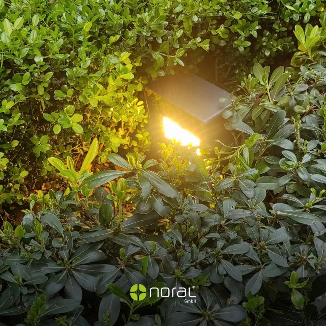 Noral Outdoor Lighting | The Light Company